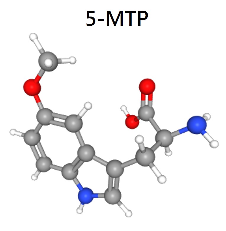 人體自身抵抗發炎與癌症的護衛因子：5-MTP - 衛普ㄒㄧㄢ知